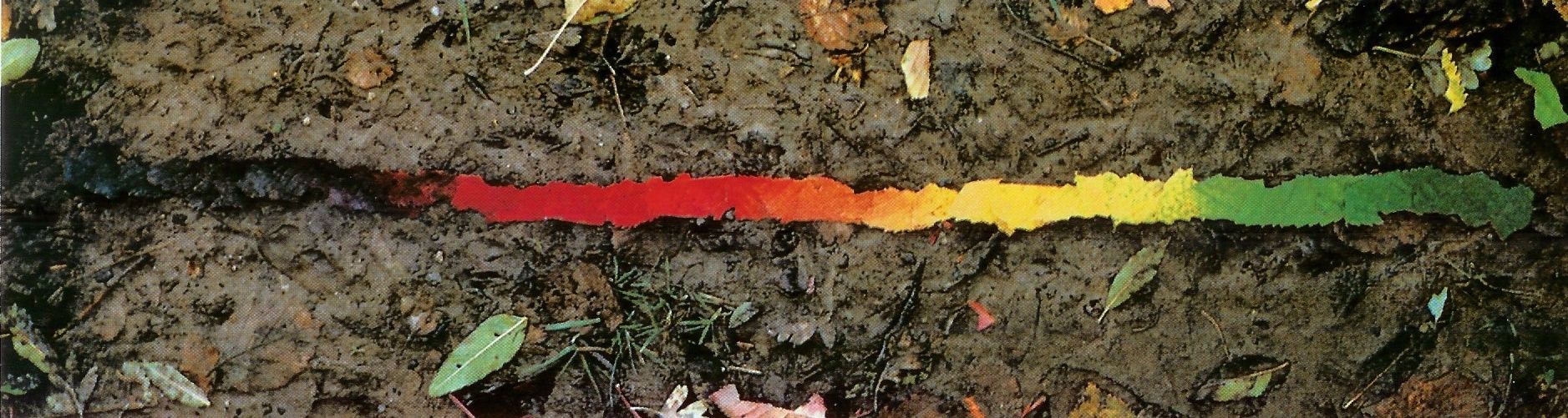 The Art of Creation: Leaf on Leaf, Stone on Stone