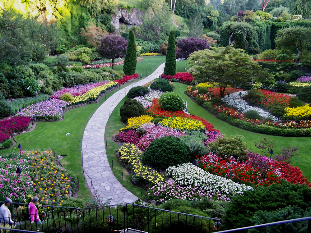 The Art of Creation: Beyond the Frame