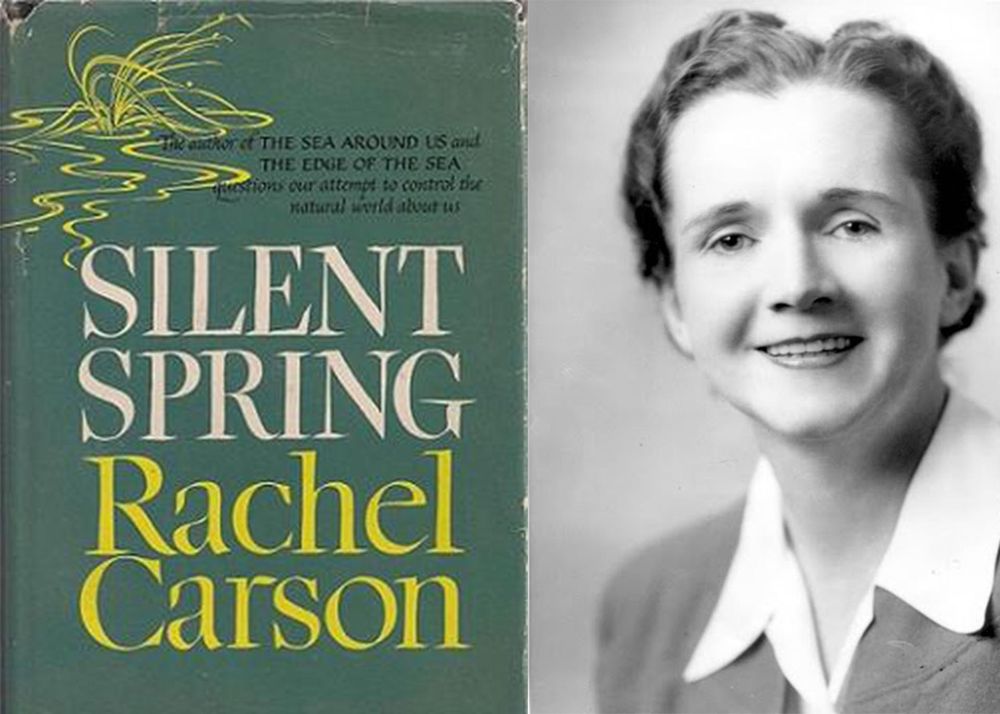 The Art of Creation: The Enduring Legacy of Silent Spring