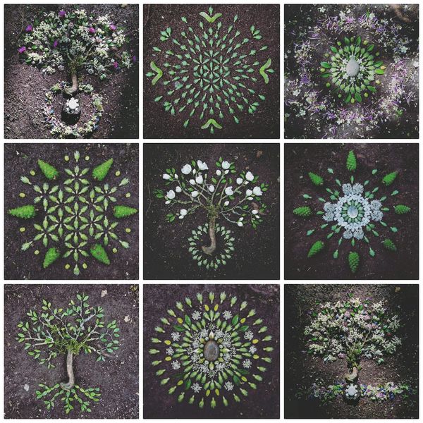 The Art of Creation: Foraged Materials