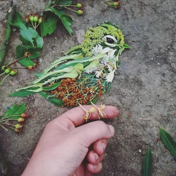 The Art of Creation: Foraged Materials